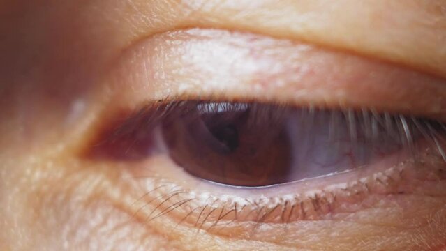 Mire Video Imagens – Procure 25,260 fotos, vetores e vídeos | Adobe Stock