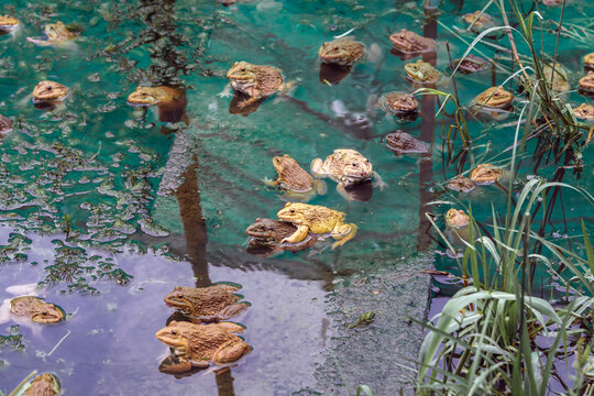 Sufficient Images – Browse 3,728 Stock Photos, Vectors, and Video ...