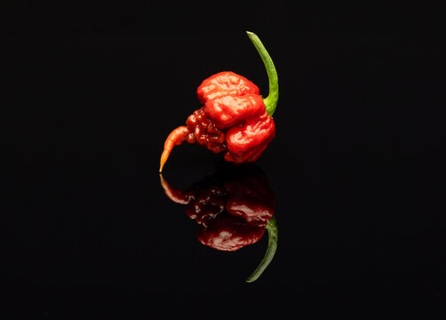 รูปภาพ"Carolina Reaper" – เลือกดูภาพถ่ายสต็อก เวกเตอร์ และวิดีโอ717 ...