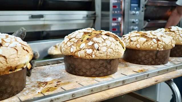 Cooling Cakes Upside Down Stock Videos – 6 HD & 4K Footage Clips ...