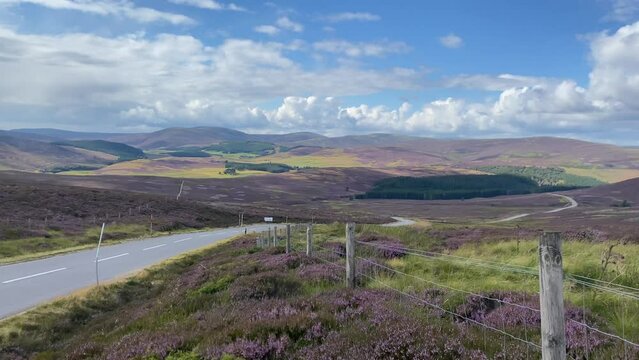 Spittal Images – Browse 800 Stock Photos, Vectors, and Video | Adobe Stock