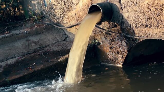 Impurity Images – Browse 33,518 Stock Photos, Vectors, and Video ...