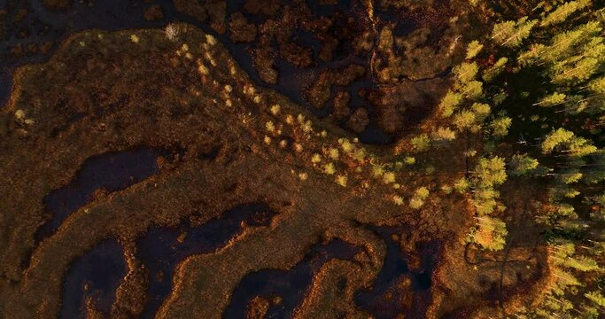 Mire Video Imagens – Procure 25,260 fotos, vetores e vídeos | Adobe Stock