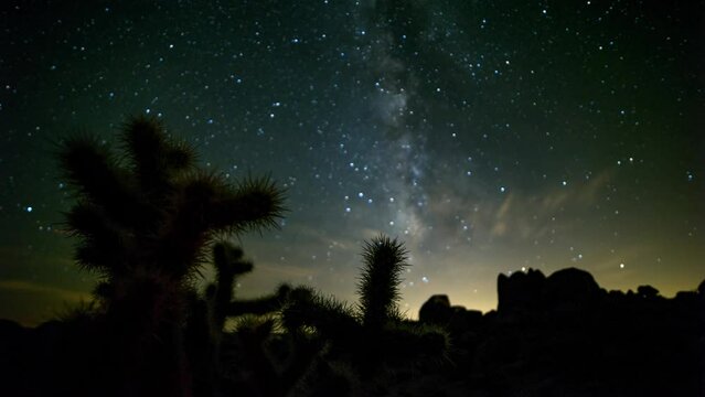 Joshua Tree Night Images – Browse 1,964 Stock Photos, Vectors, and ...