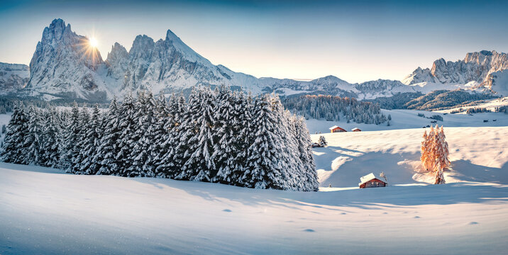 Andrew Mayovskyy 사진, 이미지, 에셋 | Adobe Stock