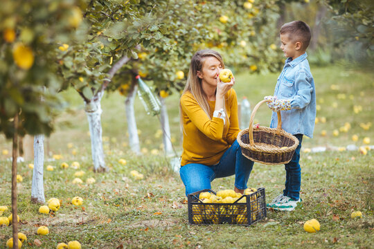 Imágenes de Labriego: descubre bancos de fotos, ilustraciones, vectores ...