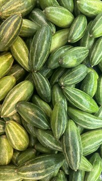 Parwal 이미지 – 찾아보기 711 스톡 사진, 벡터 및 비디오 | Adobe Stock