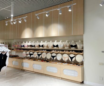 「Hanging Bra」の写真素材 | 3,298件の無料イラスト画像 | Adobe Stock