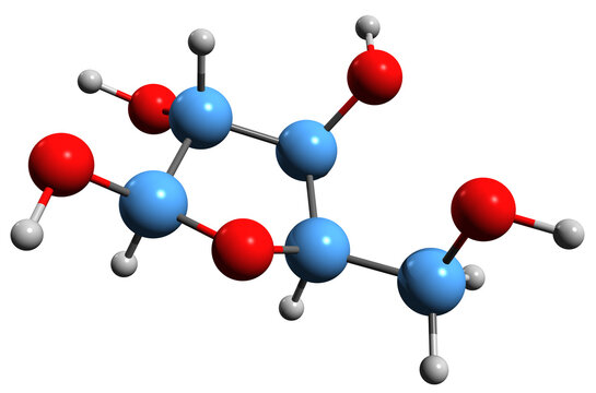 Carbohydrate Molecule Model