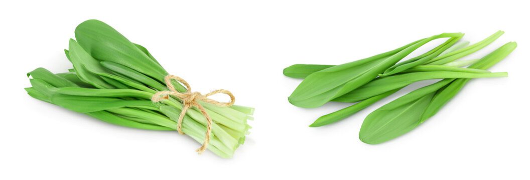 Kurrat Bilder – Durchsuchen 2,828 Archivfotos, Vektorgrafiken und ...