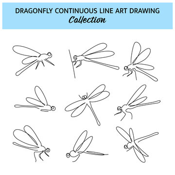 Dragon Fly Line Drawing Images – Browse 16,344 Stock Photos, Vectors ...