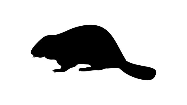 Beaver Silhouette Images – Browse 10,089 Stock Photos, Vectors, and Video | Adobe Stock