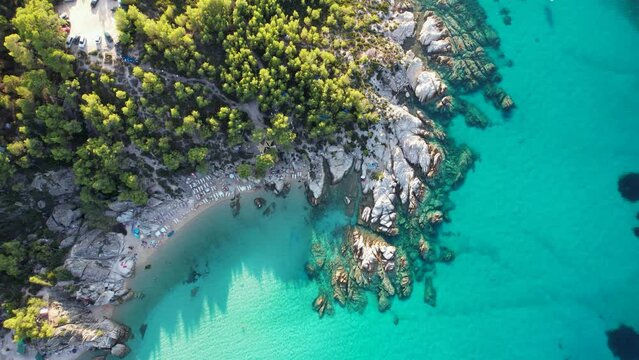 รูปภาพAtos – เลือกดูภาพถ่ายสต็อก เวกเตอร์ และวิดีโอ193 | Adobe Stock