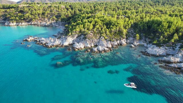 Imágenes de Atos: descubre bancos de fotos, ilustraciones, vectores y ...