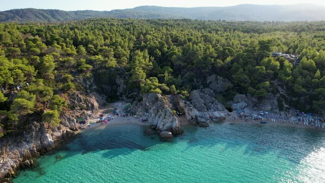 รูปภาพAtos – เลือกดูภาพถ่ายสต็อก เวกเตอร์ และวิดีโอ193 | Adobe Stock