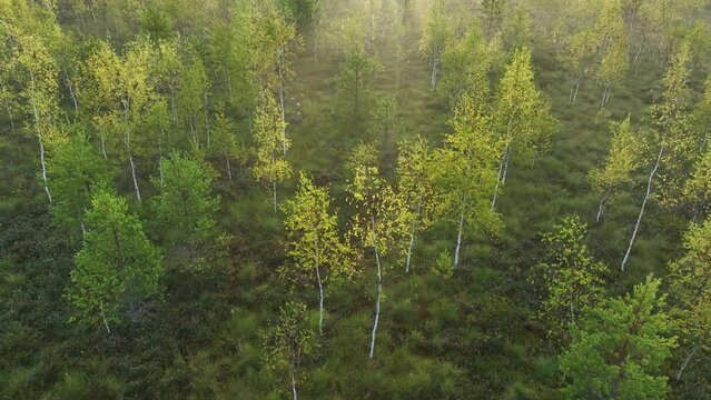 Mire Video Imagens – Procure 25,260 fotos, vetores e vídeos | Adobe Stock