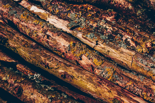 รูปภาพRondin – เลือกดูภาพถ่ายสต็อก เวกเตอร์ และวิดีโอ1,344 | Adobe Stock