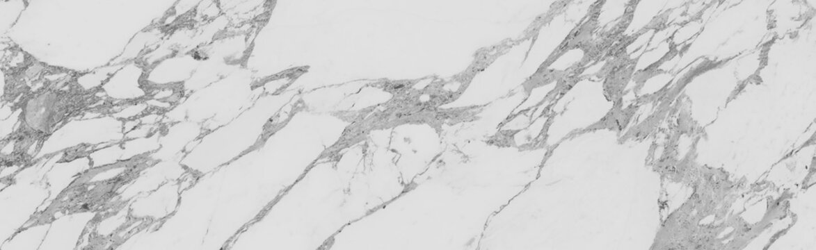 Til Images – Browse 4,253,601 Stock Photos, Vectors, and Video | Adobe ...