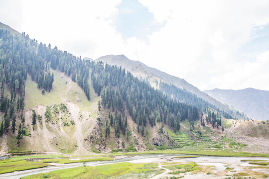 Naran 이미지 – 찾아보기 960 스톡 사진, 벡터 및 비디오 | Adobe Stock