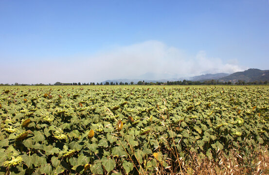 รูปภาพMonocropping – เลือกดูภาพถ่ายสต็อก เวกเตอร์ และวิดีโอ388 | Adobe ...