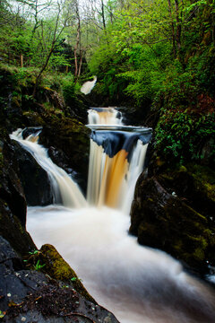 Pecca Bilder – Durchsuchen 47 Archivfotos, Vektorgrafiken und Videos ...