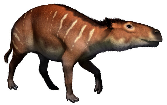 Propalaeotherium