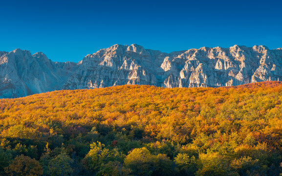 Nord 이미지 – 찾아보기 90,391 스톡 사진, 벡터 및 비디오 | Adobe Stock