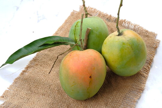 Mangga Bilder – Durchsuchen 413 Archivfotos, Vektorgrafiken und Videos ...