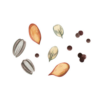 Watercolor Seeds Images – Browse 50,144 Stock Photos, Vectors, and ...