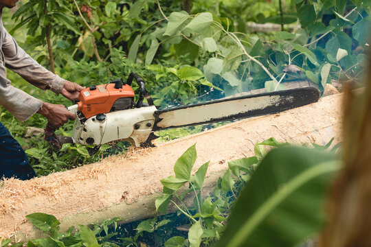 Rodungsarbeiten Bilder – Durchsuchen 11,872 Archivfotos, Vektorgrafiken ...