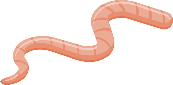 Regenworm Bilder – Durchsuchen 4,309 Archivfotos, Vektorgrafiken und ...