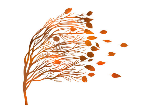Windy Tree Clipart
