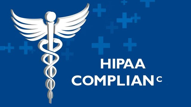 รูปภาพHippa – เลือกดูภาพถ่ายสต็อก เวกเตอร์ และวิดีโอ778 | Adobe Stock