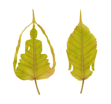 รูปภาพObservance – เลือกดูภาพถ่ายสต็อก เวกเตอร์ และวิดีโอ1,664,636 ...