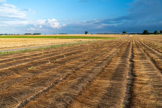 Windrows Bilder – Durchsuchen 3,023 Archivfotos, Vektorgrafiken und ...