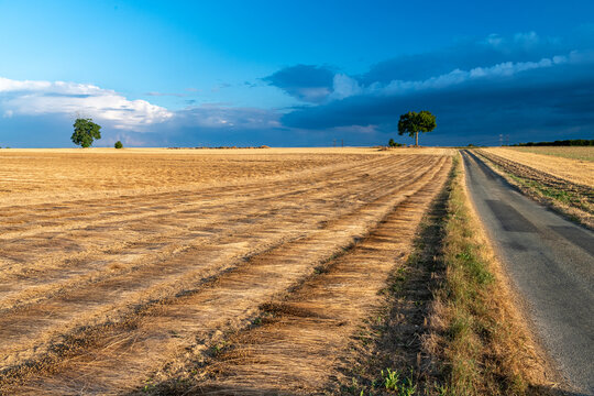 Rets Images – Parcourir 1,938 le catalogue de photos, vecteurs et ...