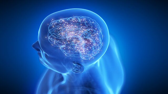 Intelligenzquotient Bilder – Durchsuchen 33,808 Archivfotos ...