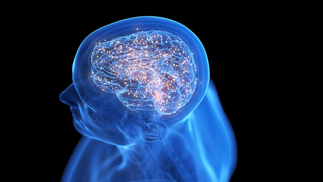 รูปภาพCerebric – เลือกดูภาพถ่ายสต็อก เวกเตอร์ และวิดีโอ1,595 | Adobe Stock