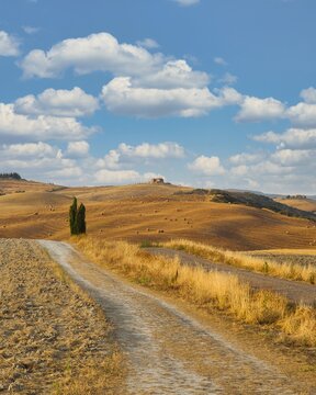 Elisi-Bilder: Stock-Fotos & -Videos. | Adobe Stock