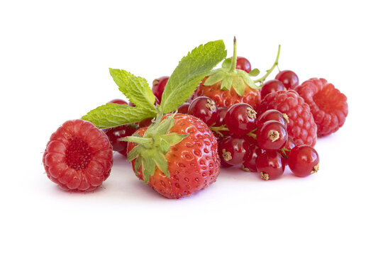 Wimberry bilder – Bläddra bland 141,015 stockfoton, vektorer och videor ...