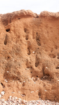 Incrustado Images – Browse 49 Stock Photos, Vectors, and Video | Adobe ...