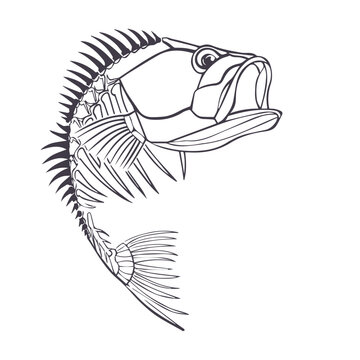 Fishing Line Cartoon Bilder – Durchsuchen 46,761 Archivfotos ...