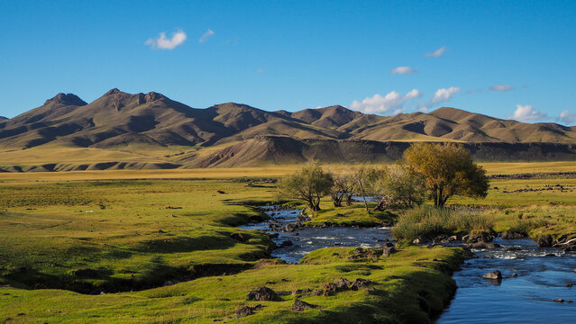 Mongolian Landscape