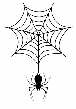 Spider Web Clip Art Black And White