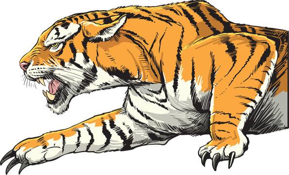 Animated Angry Tiger