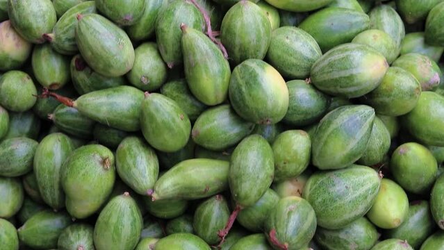 Parwal Images – Browse 700 Stock Photos, Vectors, and Video | Adobe Stock