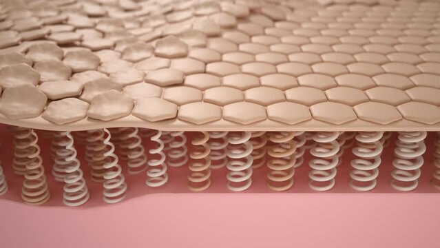 Skin Whitening Images – Browse 53,449 Stock Photos, Vectors, and Video ...