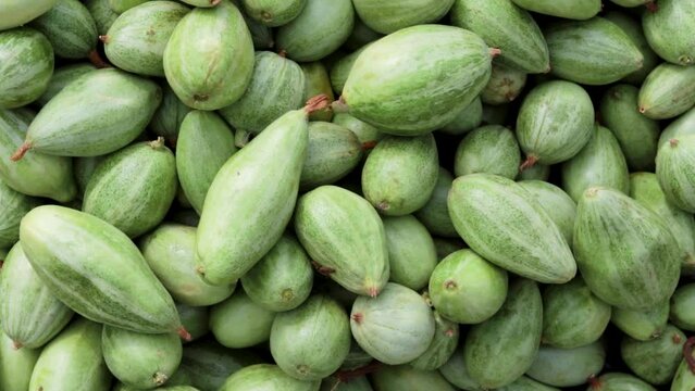 Parwal Images – Browse 691 Stock Photos, Vectors, and Video | Adobe Stock