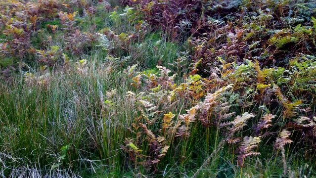 Pivoting Images – Parcourir 41,210 le catalogue de photos, vecteurs et ...