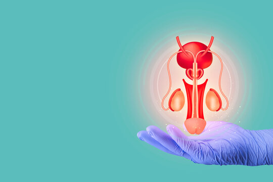 Balanite - Images et vidéos libres de droits | Adobe Stock